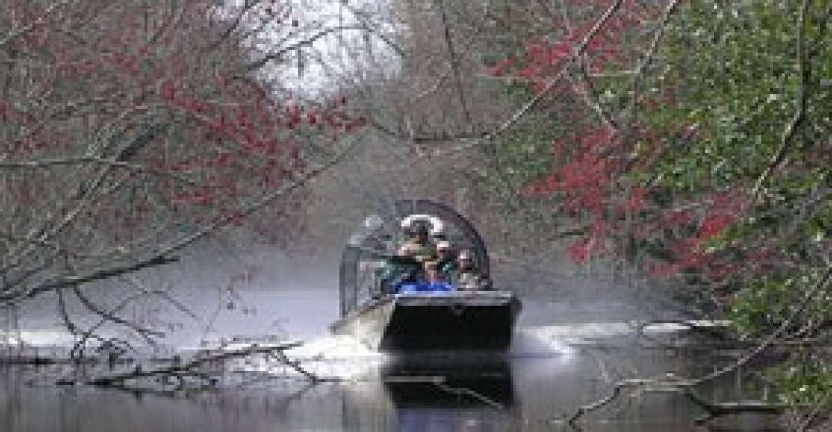 Airboat Tour of Louisiana Swamps - The Experience: Authentic and Exciting