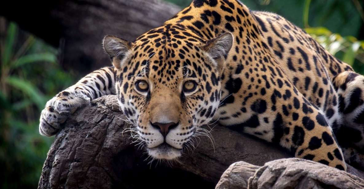 Alabama: Birmingham Area Family Fun Multi-Attraction Pass - The Sum Up