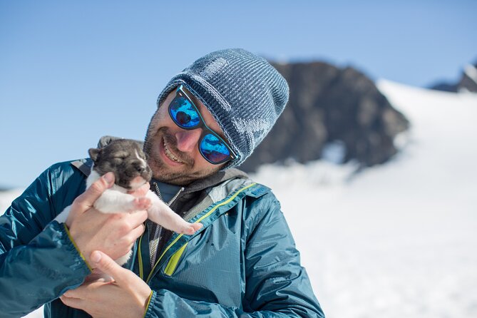Alaska Helicopter and Glacier Dogsled Tour – ANCHORAGE AREA