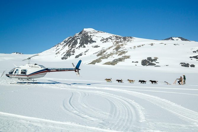 Alaska Helicopter and Glacier Dogsled Tour - ANCHORAGE AREA - Who Is This Tour Best For?