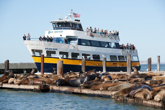 Alcatraz Day Tour and San Francisco Bay Cruise - Authentic Experiences and Hidden Gems