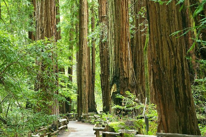 Alcatraz Muir Woods and Sausalito Express with Brunch Credit - FAQs