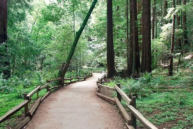 Alcatraz Muir Woods Express with Golden Gate Bridge Visit - Final Thoughts