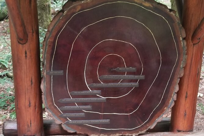 Alcatraz Plus Muir Woods & Sausalito Combo Tour - An In-Depth Look at the Tour Itinerary