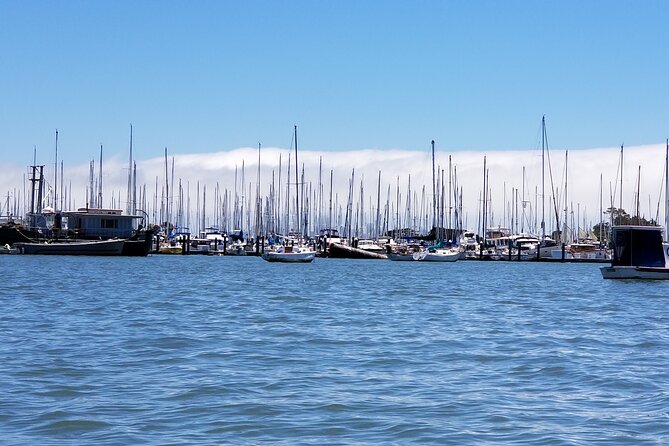 Alcatraz with Muir Woods and Sausalito Tour - Who Would Love This Tour?