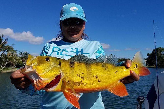 All Day Peacock Bass Fishing Trip near Key Largo - An Introduction to the Peacock Bass Fishing Experience