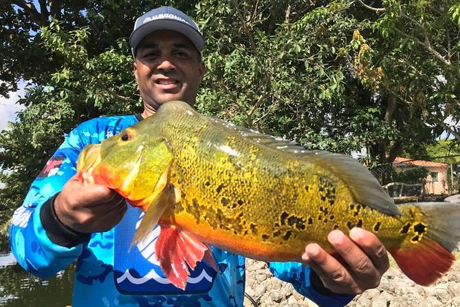 All Day Peacock Bass Fishing Trip near Key Largo - What Makes This Tour Stand Out?