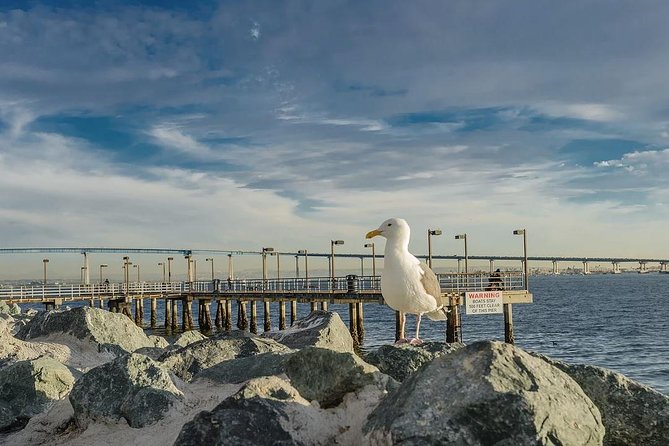 All Day San Diego Scenic Tour - Final Thoughts: Is it Worth It?