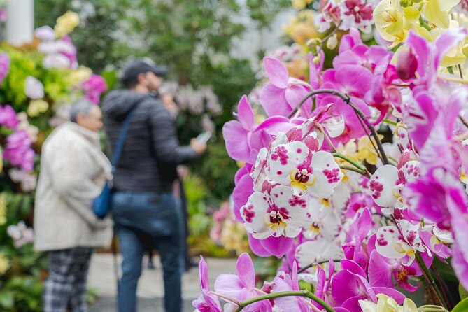 All-Garden Pass for the New York Botanical Garden - Exploring the All-Garden Pass at the New York Botanical Garden