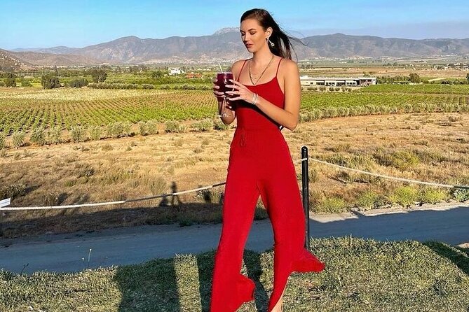 All-Inclusive Private Wine Tour in Baja