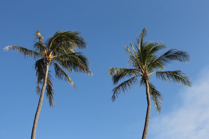 Aloha Scooter Tours - Exploring the Tour Itinerary in Detail