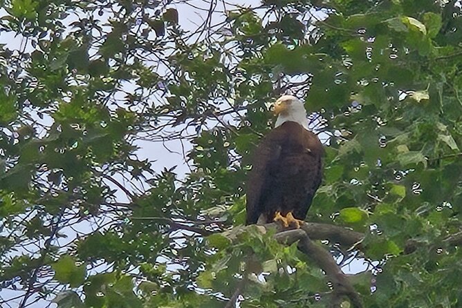 Amazing Fishing Trip Captain Bs Fishing Guide Service + Lodging - Final Thoughts