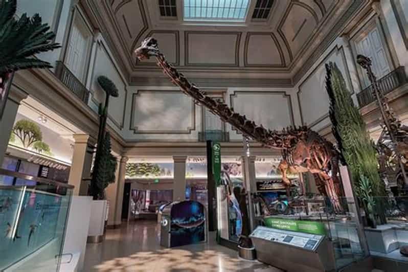 American History/Natural History Museum Combo Guided Tour - Key Points