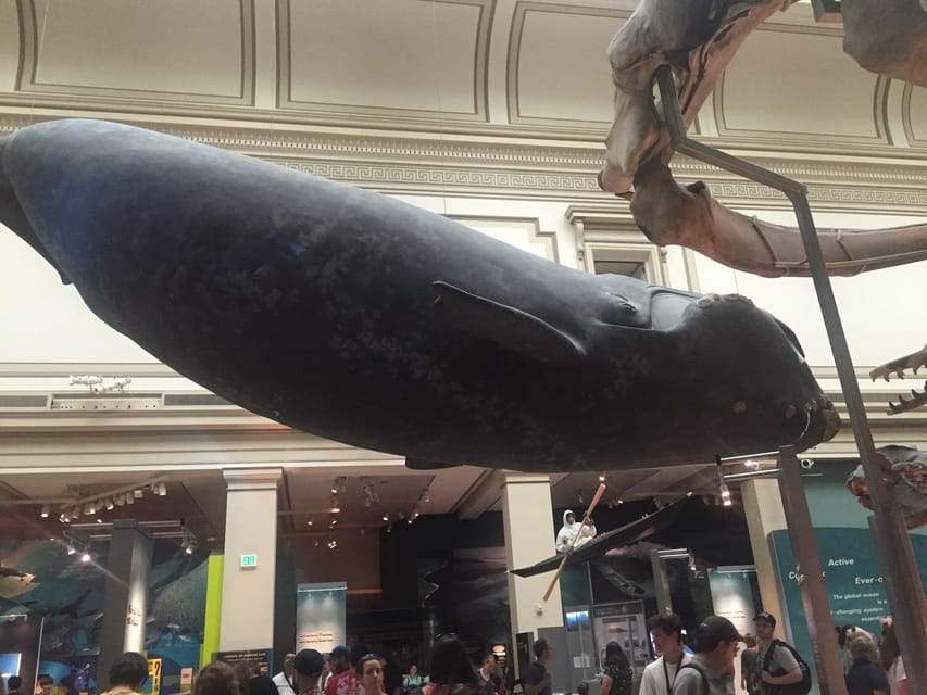 American History/Natural History Museum Combo Guided Tour - Highlights of the Museums