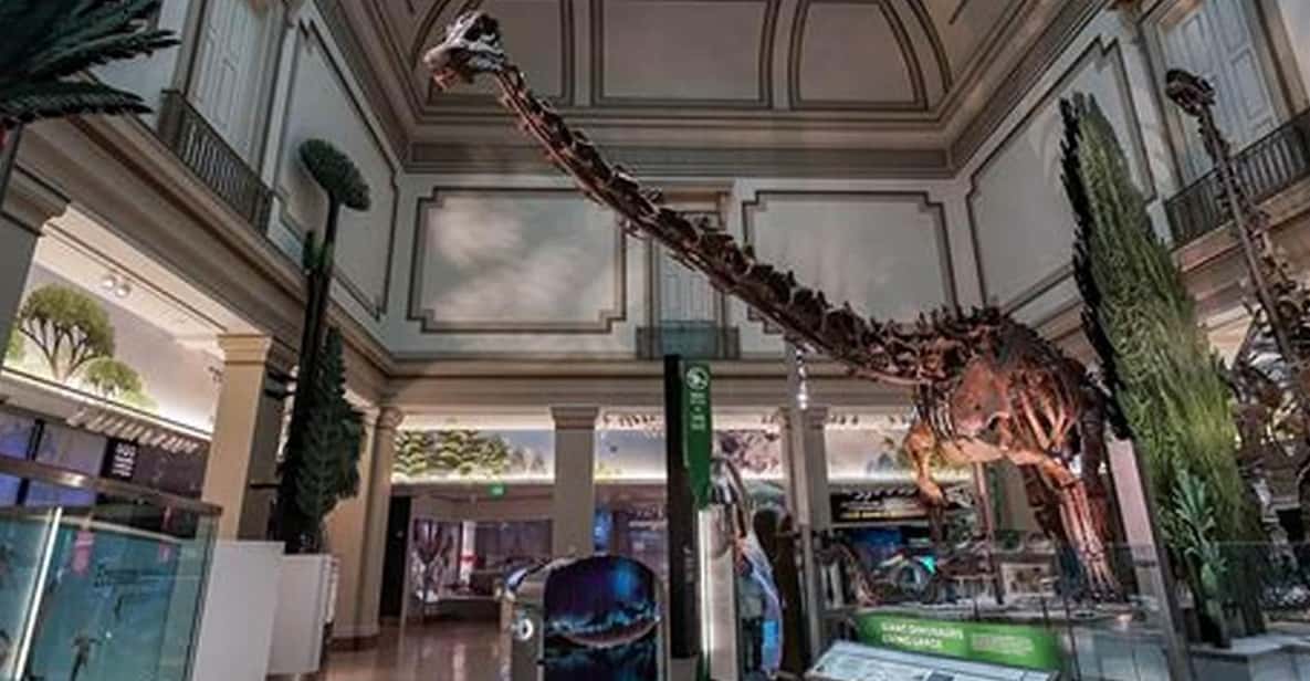 American History/Natural History Museum Combo Guided Tour - Detailed Breakdown of the Itinerary
