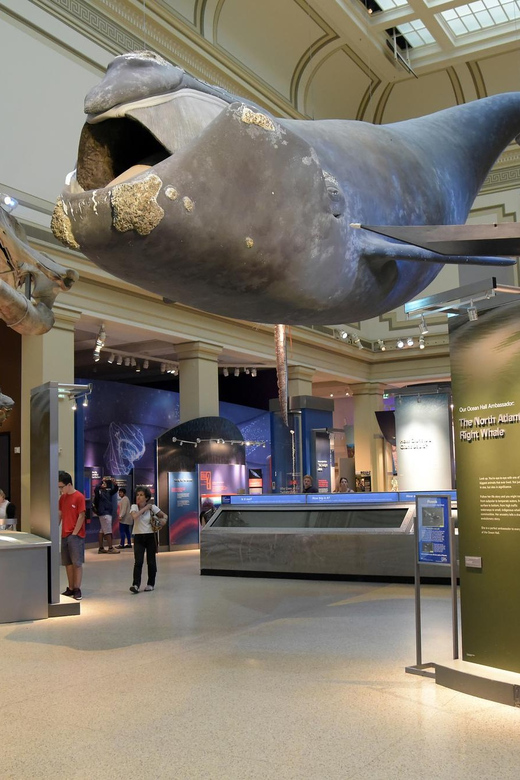 American History/Natural History Museum Combo Guided Tour - FAQs