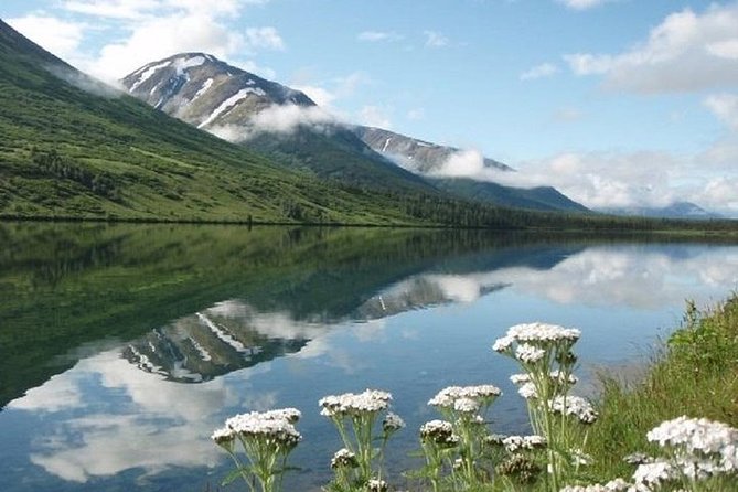 Anchorage to Seward Cruise Transfer and Private Tour - Exploring the Itinerary: What You Can Expect