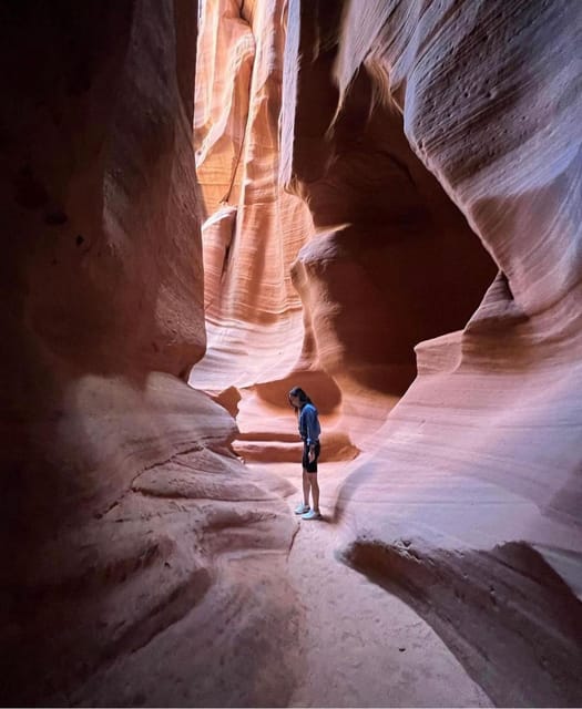 Antelope Canyon and Horseshoe Bend Vip small group tour - Key Points