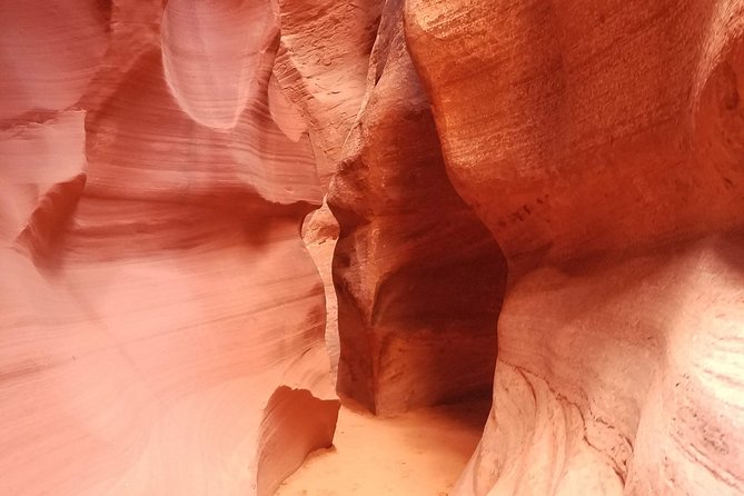 Antelope Canyon, Horseshoe Bend and Lake Powell Tour from Las Vegas - Why This Tour Offers Great Value