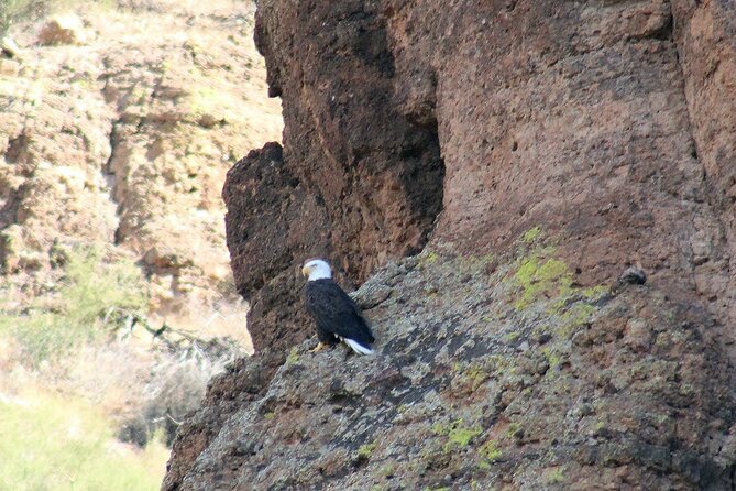 Apache Trail with Dolly Steamboat - Lunch in Tortilla Flat