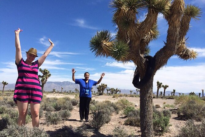 Area 51 Day Tour from Las Vegas with Alien and UFO Hotspots - The Itinerary in Detail: What to Expect