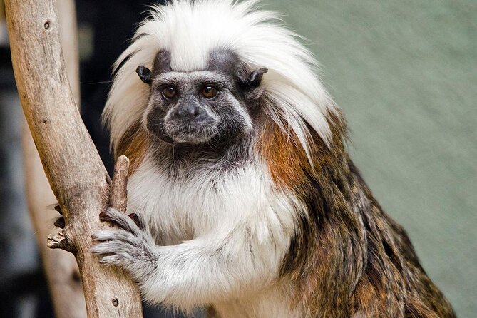 Arizona E-Bike Rentals - Arizona E-Bike Rentals Review: An Authentic and Flexible Way to Explore Phoenix