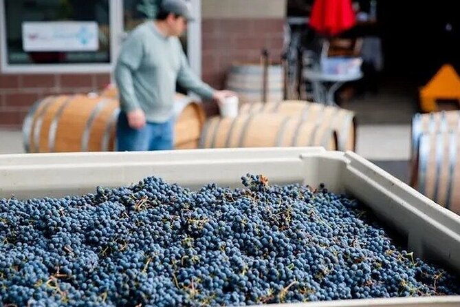 Artisan Hill Wine Pass in Woodinville - Key Points