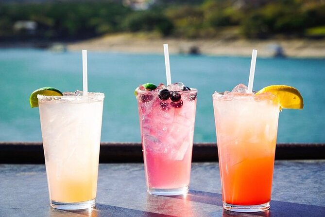 Austin Lake Travis Barge Crawl Bar Hopping Tour by Boat - Who Should Consider This Tour?