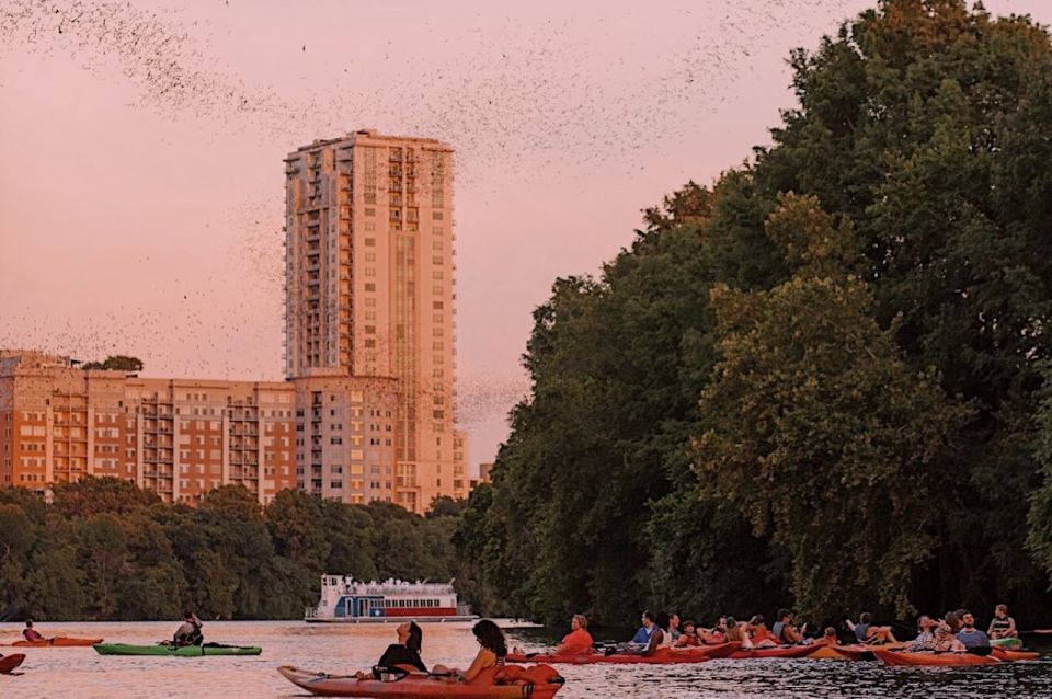 Austin: Sunset Bat Watching Kayak Tour - Practical Details and Considerations