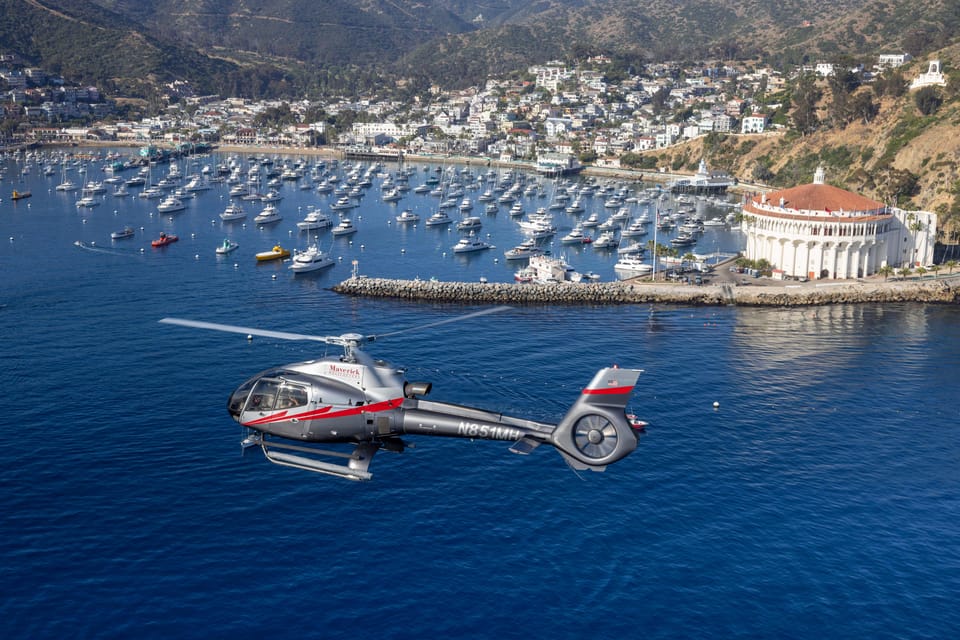 Avalon: Santa Catalina Island Aerial Helicopter Tour - Who Should Book This Tour?