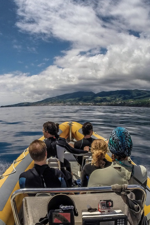 Azores: Swim with Dolphins Atlantic Experience - Practical Tips for Travelers