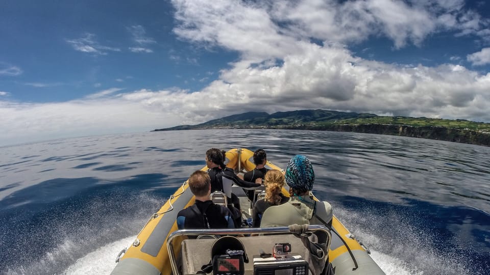 Azores: Swim with Dolphins Atlantic Experience - Final Thoughts: Who Will Love This Experience?