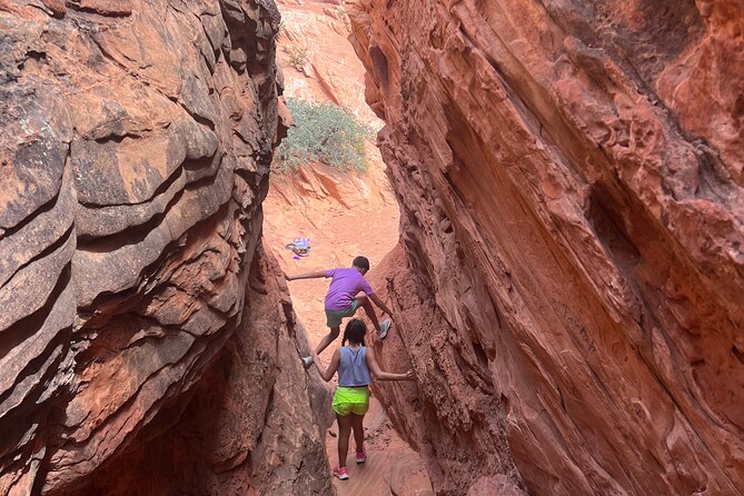 Babylon Arch Hike and Desert Wildlife Adventure - Exploring the Babylon Arch Hike and Desert Wildlife Adventure