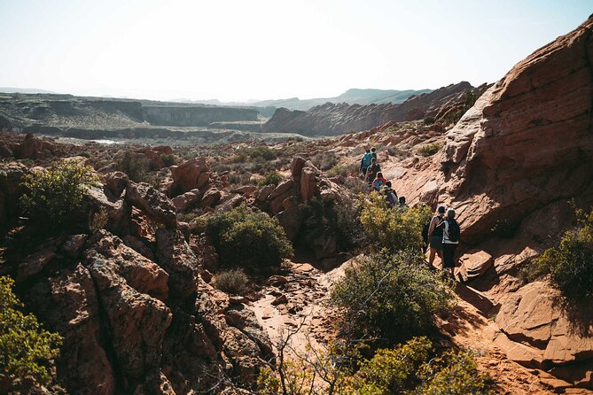 Babylon Arch Hike and Desert Wildlife Adventure - Who Should Consider This Tour?