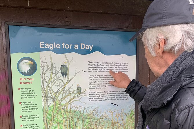 Bald Eagles Nesting Area Tour at Skagit River - Key Points