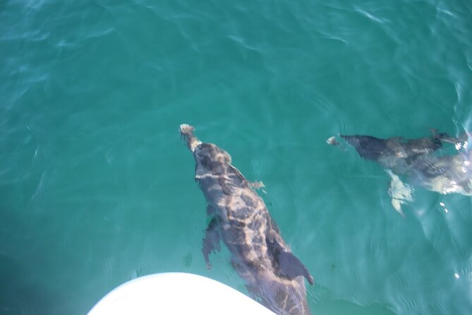 Banana Boat and Parasail Ride Combo - FAQ  