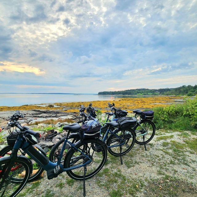 Bar Harbor: Acadia National Park Carriage Roads Ebike Tour - What to Expect on the Day