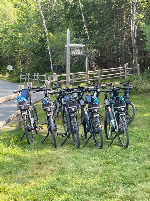 Bar Harbor: Acadia National Park Carriage Roads Ebike Tour - Who Will Love This Experience?