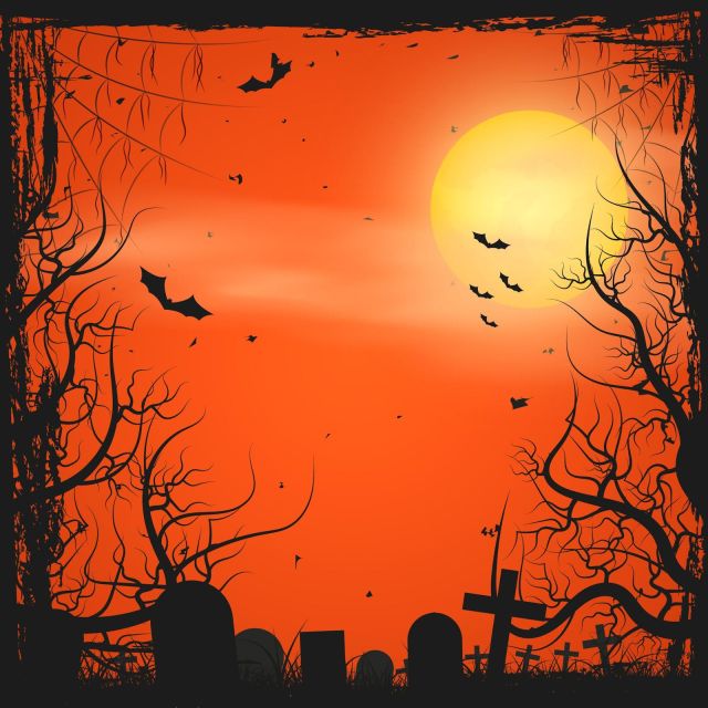 Bay Saint Louis: The Spirit Ghost and Walking Tour - Final Thoughts