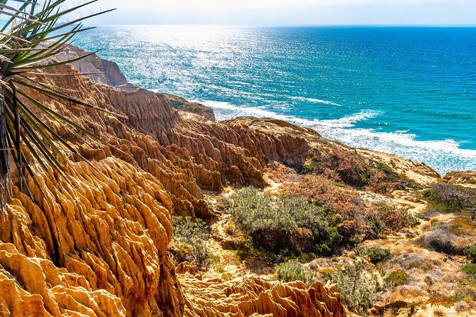 Beaches & Bluffs San Diego's Ultimate Coastal Driving Tour - Price & Value Analysis