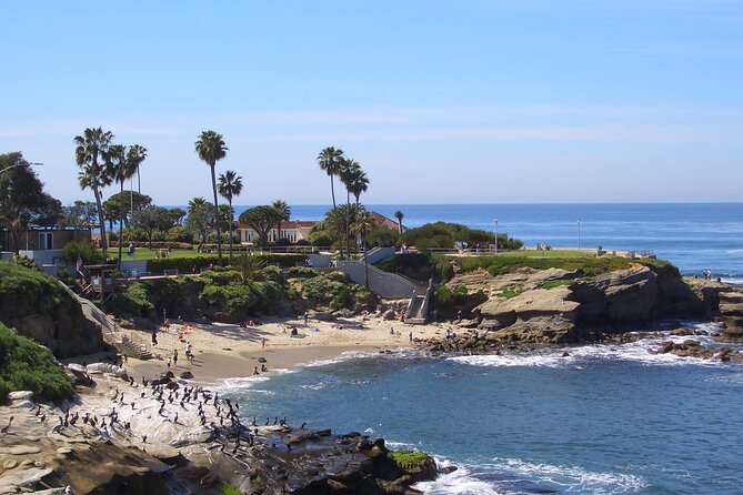 Beaches & Bluffs San Diego's Ultimate Coastal Driving Tour - Practical Details