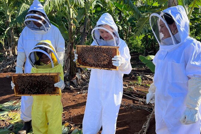 Bee Farm Ecotour and Honey Tasting in Waialua, North Shore Oahu - Authentic Insights from Visitors