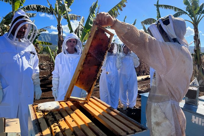Bee Farm Ecotour and Honey Tasting in Waialua, North Shore Oahu - Final Thoughts