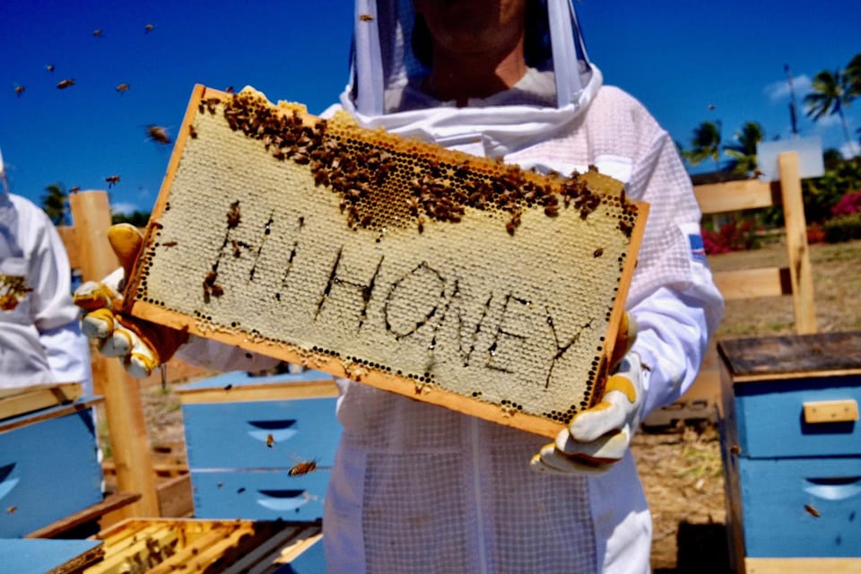 Bee Farm Tour & Honey Tasting - An In-Depth Look at the Bee Farm Tour & Honey Tasting Experience