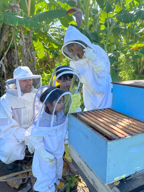 Bee Farm Tour & Honey Tasting - The Realities of the Experience