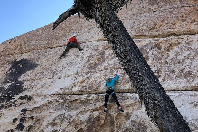 Beginner Group Rock Climbing in Joshua Tree National Park - What the Itinerary Looks Like