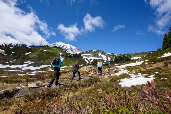 Best of Mount Rainier National Park from Seattle: All-Inclusive Small-Group Tour - The Sum Up