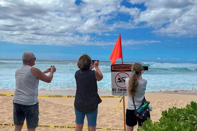 Best of Oahu Full-Day Small-Group Island Tour - The Transport & Group Dynamics