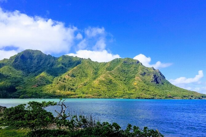 Best of Oahu Full-Day Small-Group Island Tour - Who Should Book This Tour?