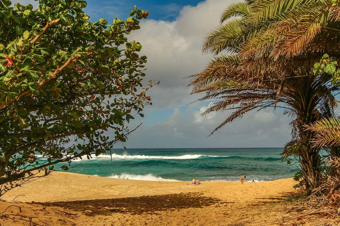 Best of Oahu: Pearl Harbor & Oahu Circle Island Tour from Waikiki - The Sum Up